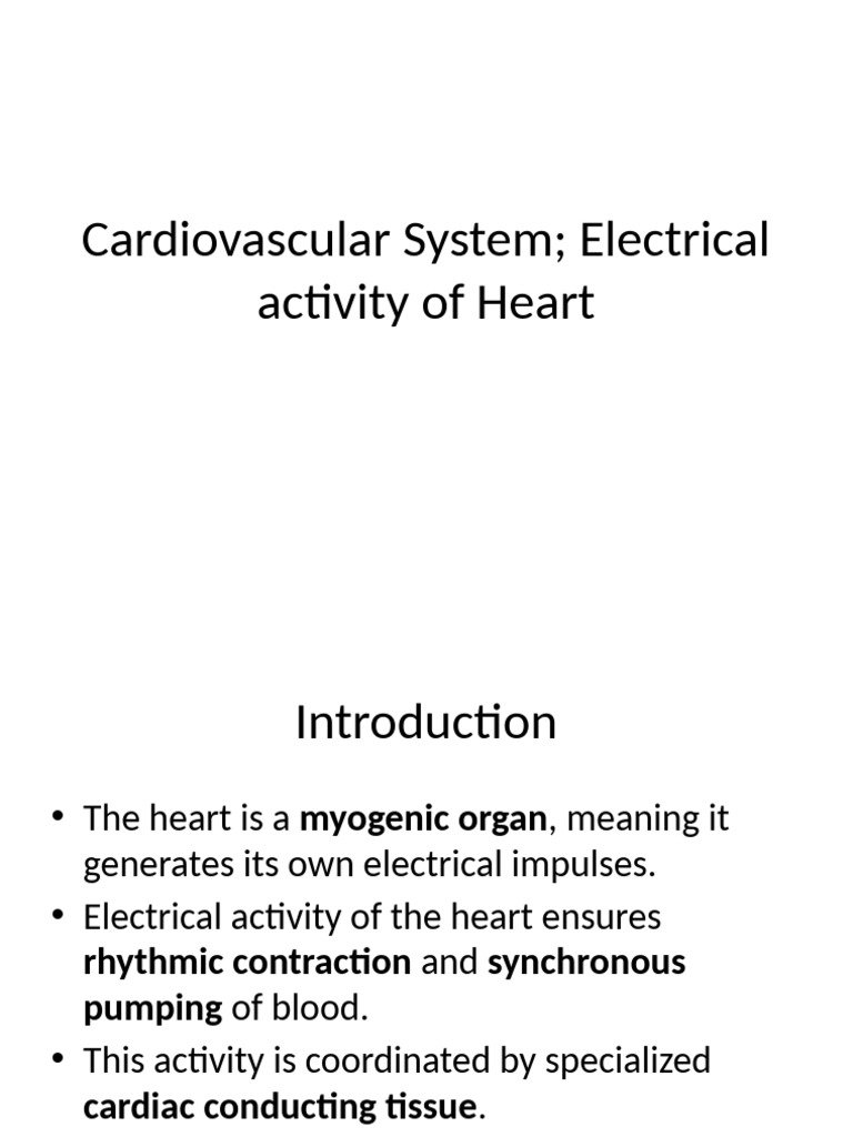 Heart Electrical Activity & Conduction System | PDF ...