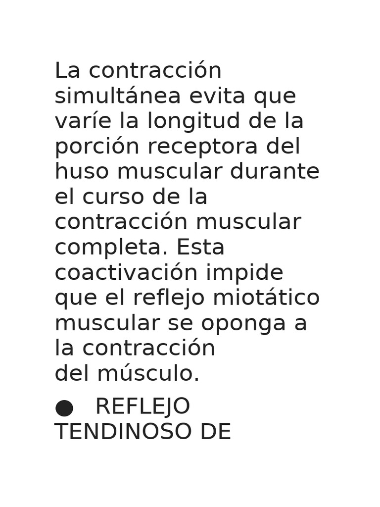 Reflejos Medulares | PDF | Músculo | Tendón
