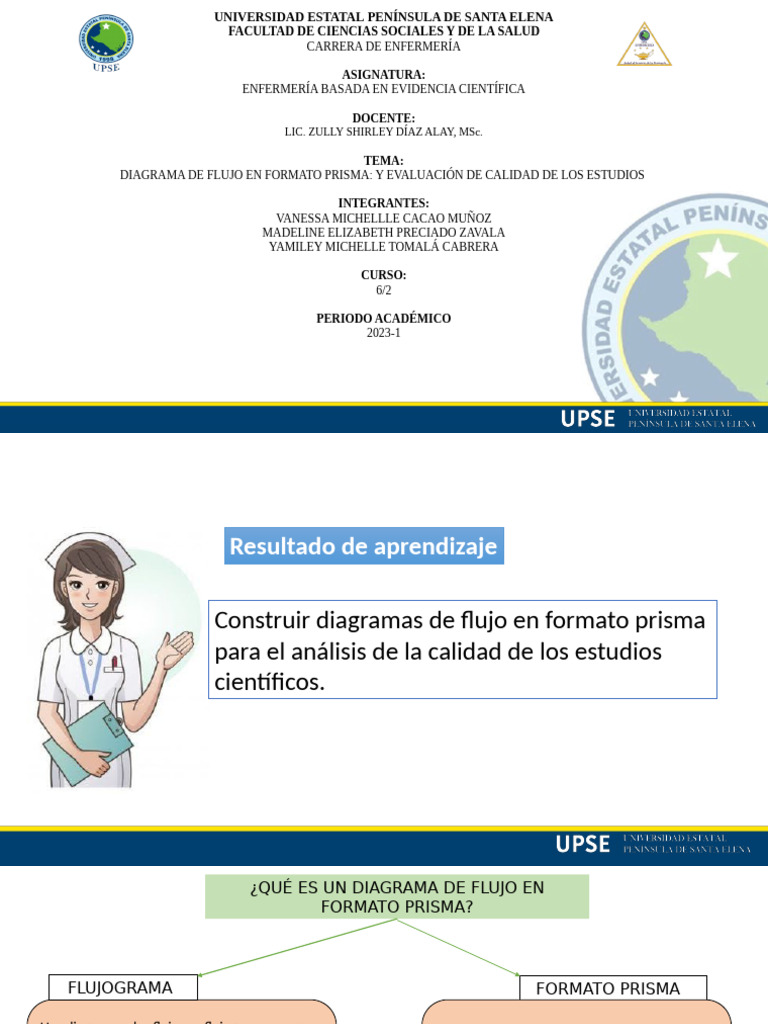 Diagrama de Flujo PRISMA | PDF