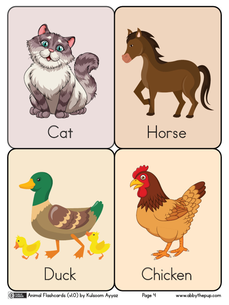 Flashcard Cat, Duck, Horse | PDF
