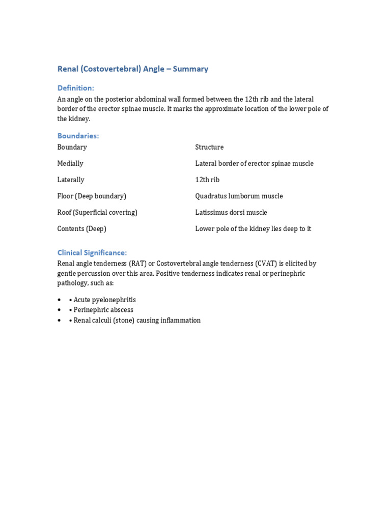 Renal Angle Boundaries | PDF