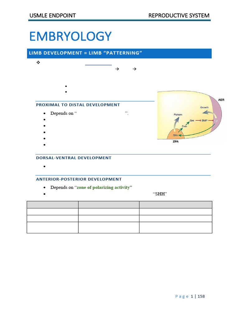 Embryology of Limb Development and Genes | PDF | Uterus | Vagina