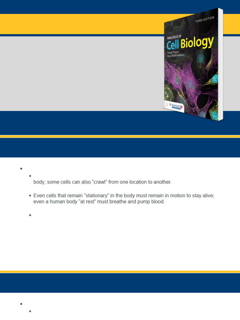 Chapt 5 Cytoskeleton - 2025 0925 - 업로드 | PDF | Microtubule | Cytoskeleton