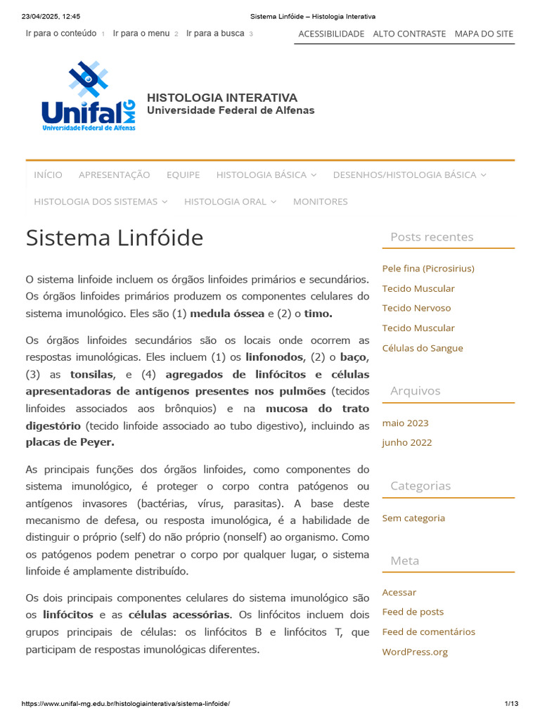 Estrutura e Função do Sistema Linfóide | PDF | Sistema linfático | Timo