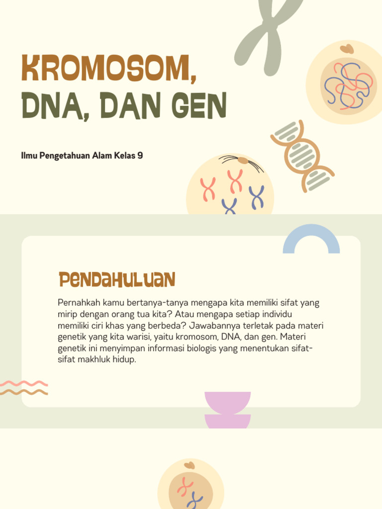 Presentasi Pendidikan Biologi Kromosom, DNA, Dan Gen Krem Ilustrasi ...