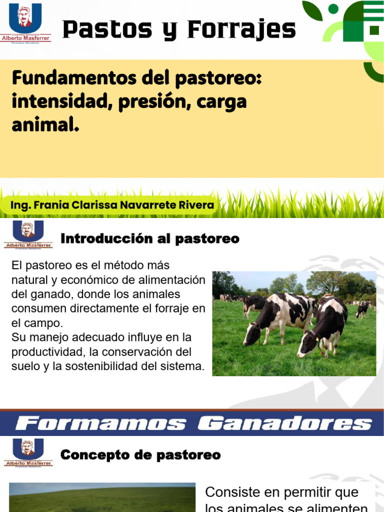 Fundamentos del Pastoreo: Tipos y Manejo | PDF | Pasto | Pasto