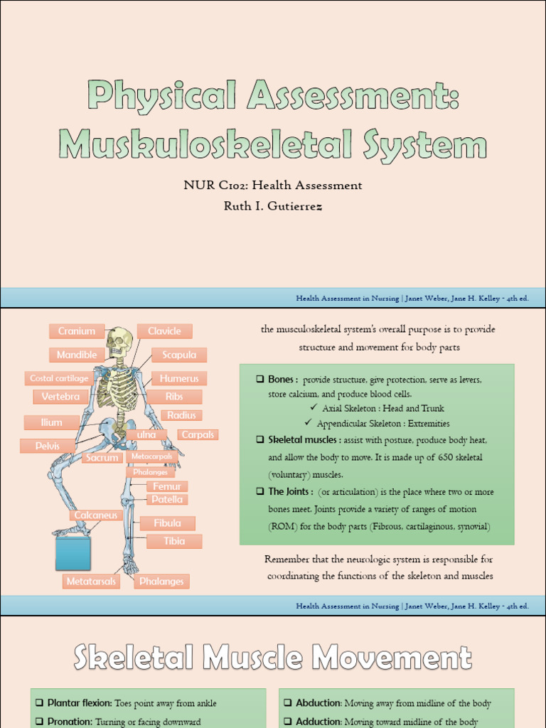 Musculoskeletal Health Assessment Guide | PDF | Anatomical Terms Of ...
