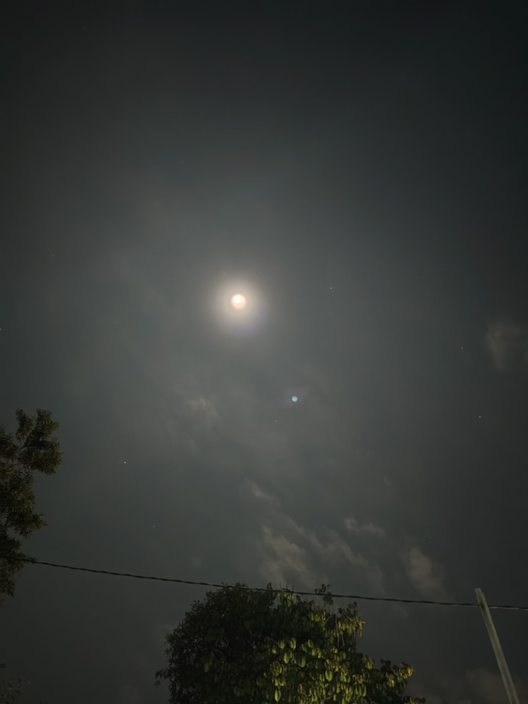 2025-12-06 10-29-28 | PDF