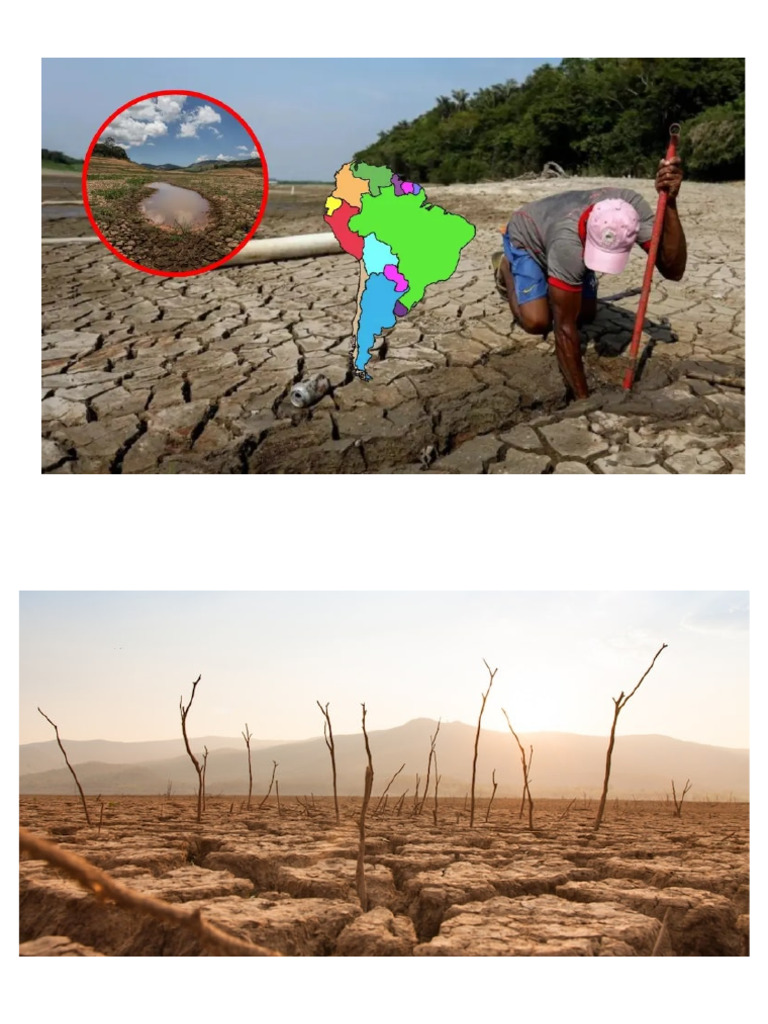 Agregar Un Título (1).PDF (2).PDF (24) | PDF