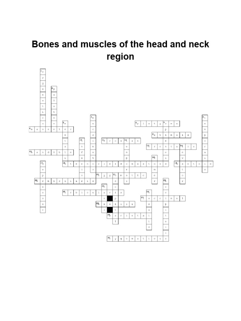 Bones and Muscles of The Head and Neck Region | PDF | Mouth | Skull
