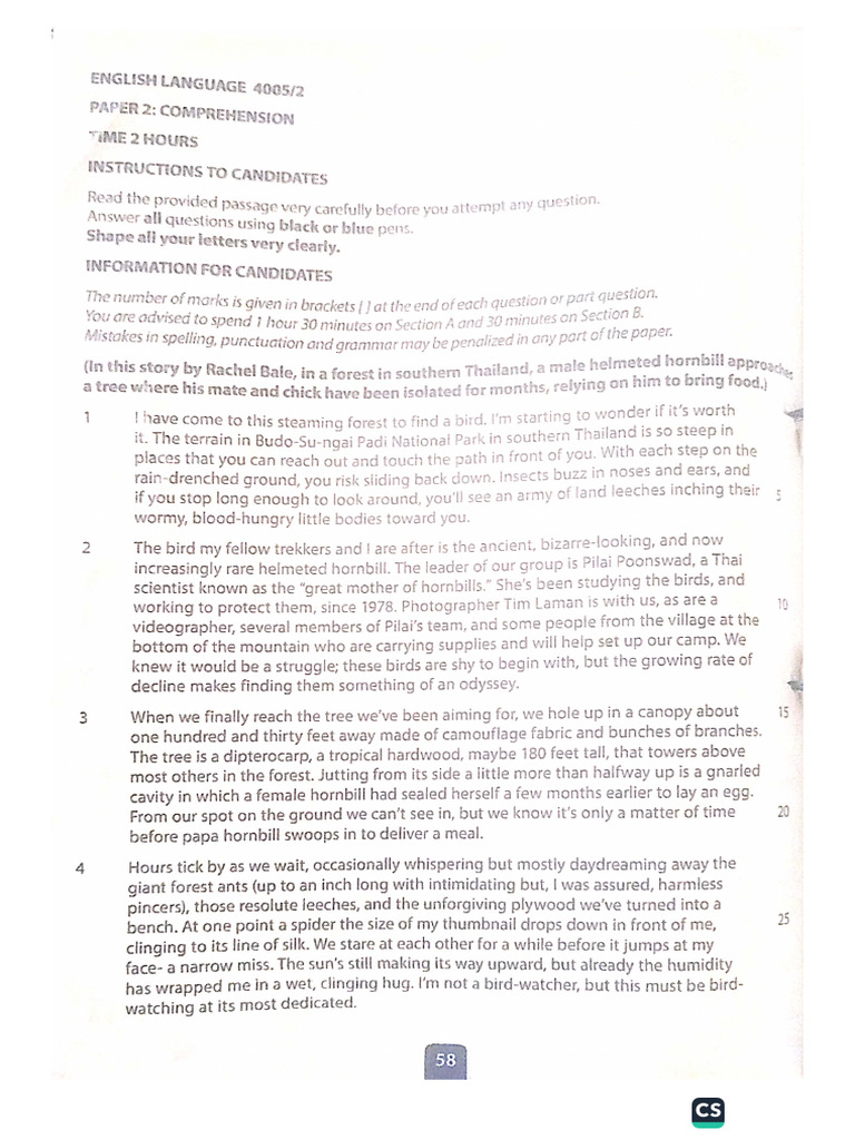 English Form 2 | PDF