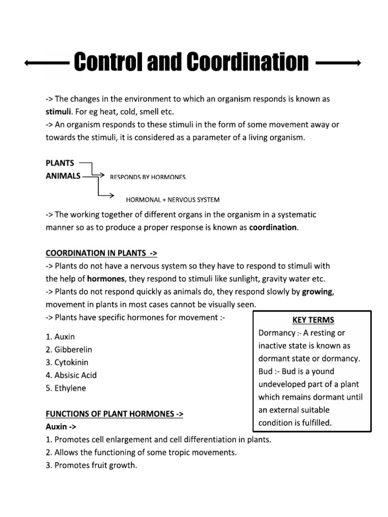 Control and Coordination | PDF