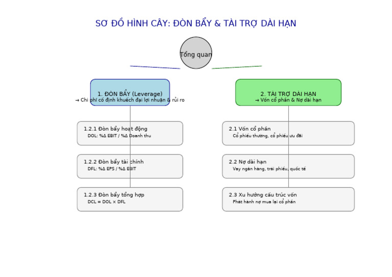 Mindmap Hinh Cay Don Bay Tai Tro Dai Han | PDF