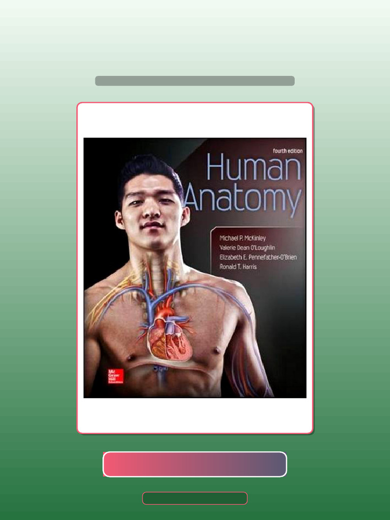 Test Bank for Human Anatomy McKinley 4th Edition | PDF | Human Body ...