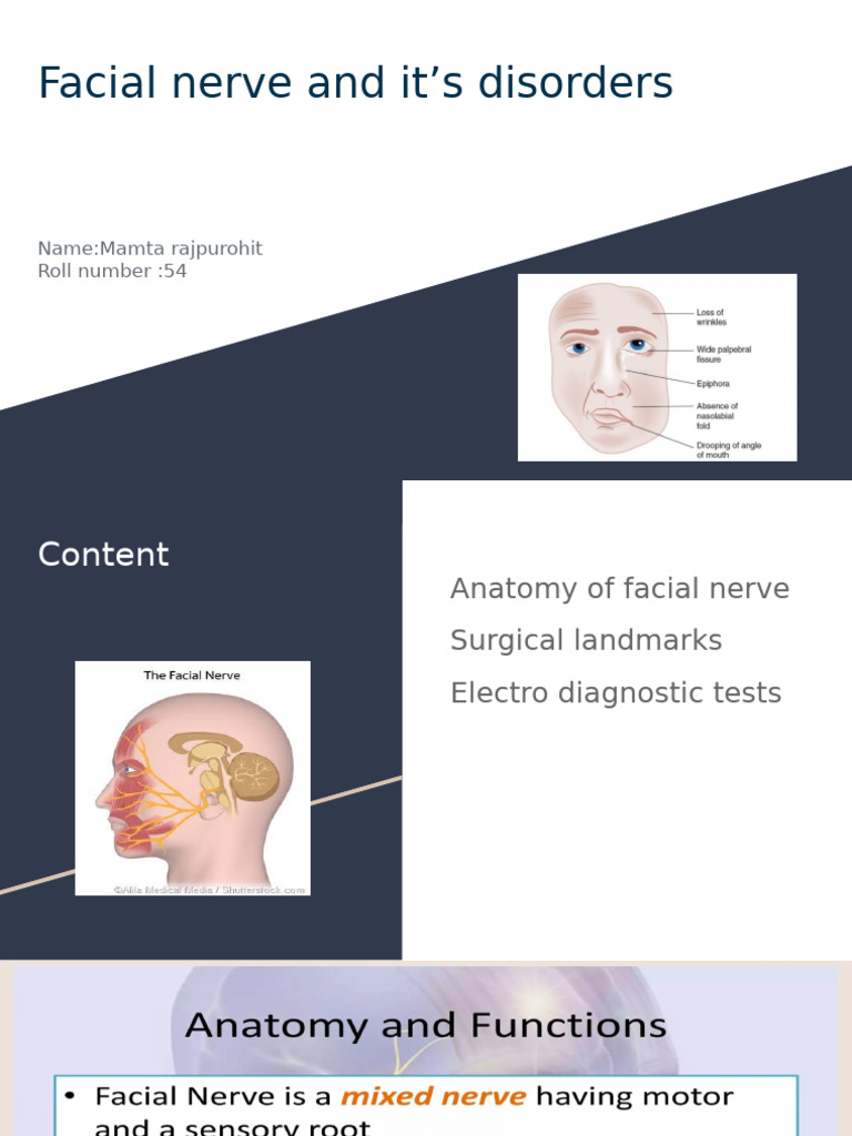 Facial Nerve | PDF | Electromyography | Nerve