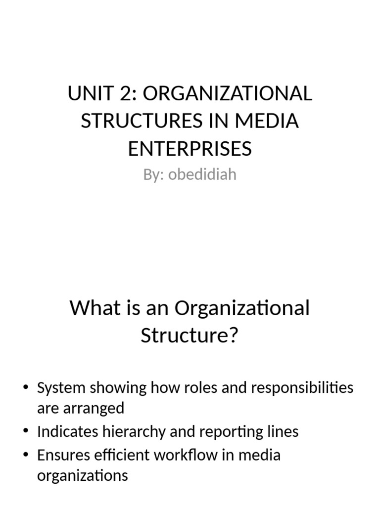 Media Organizational Structures Explained | PDF