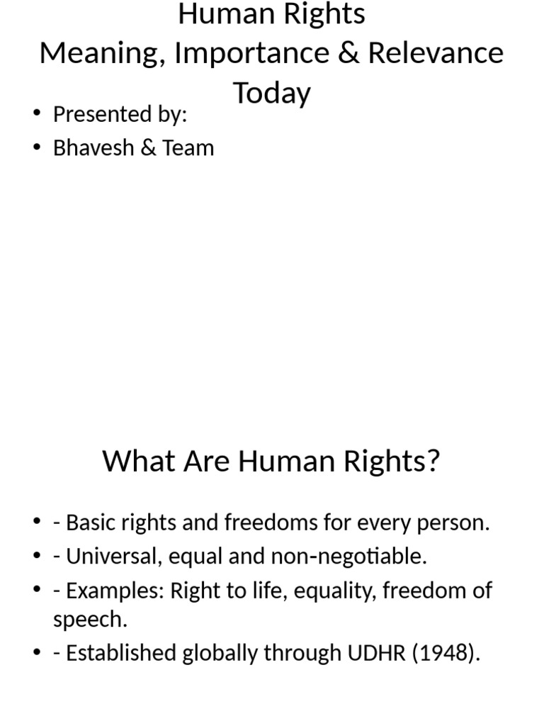 Understanding Human Rights Today | PDF