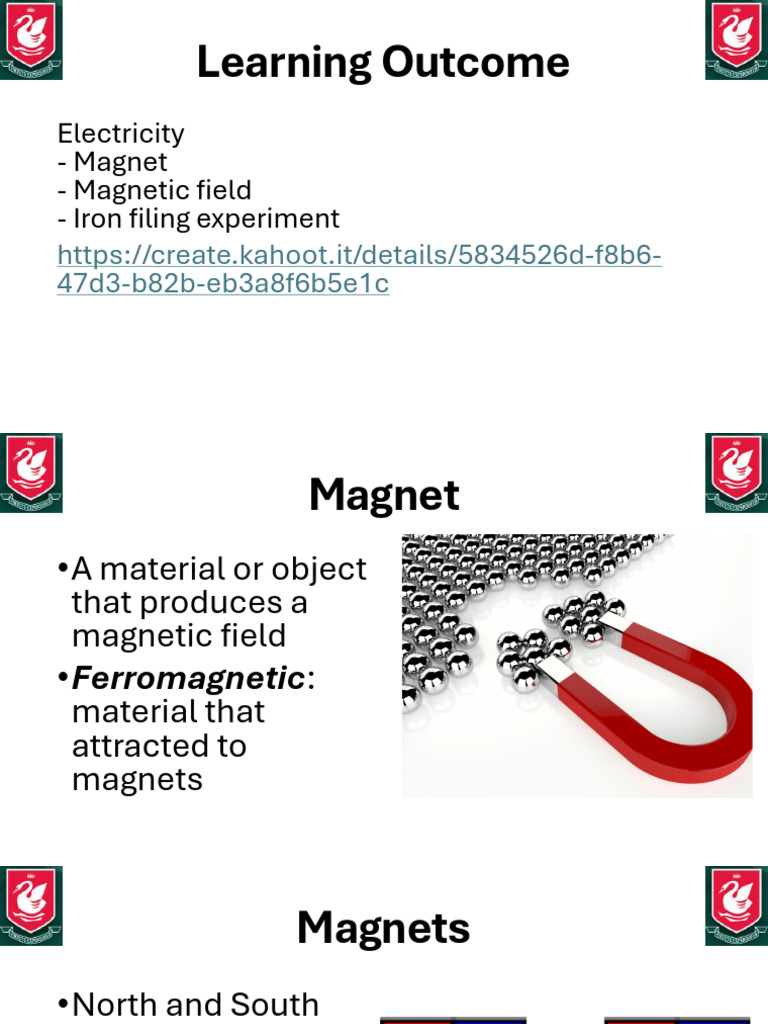Understanding Magnetic Fields and Forces | PDF | Electromagnetic ...