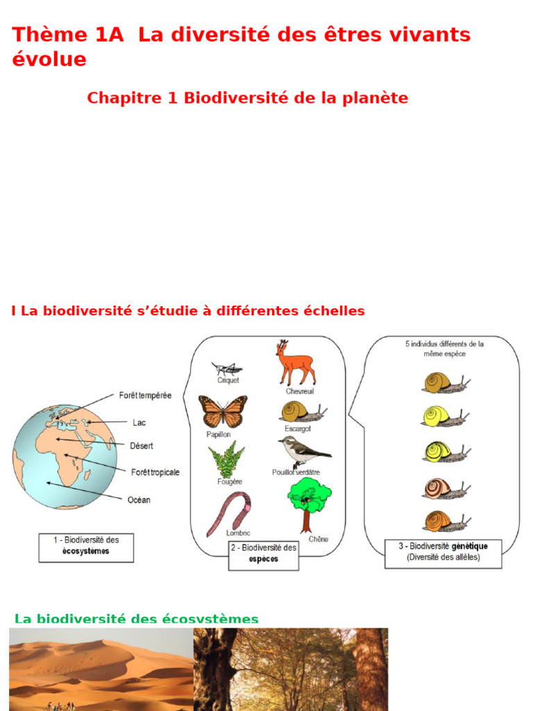 Comprendre la biodiversité des écosystèmes | PDF