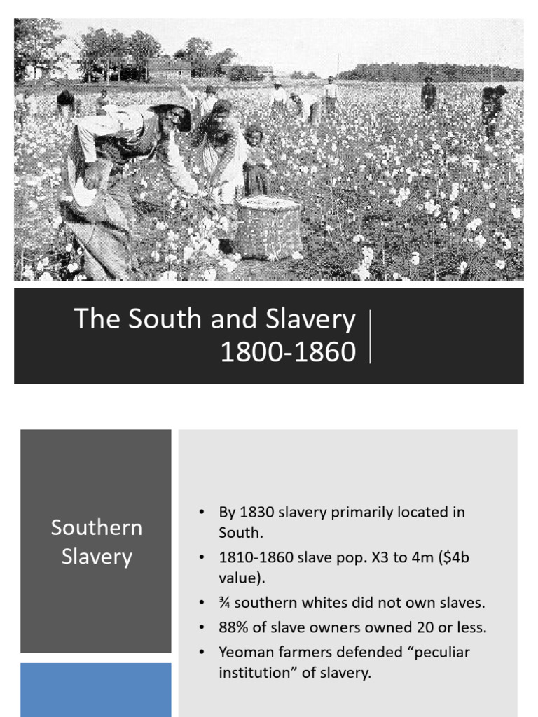Southern Slavery and Society (1800-1860) | PDF | Slavery In The United ...