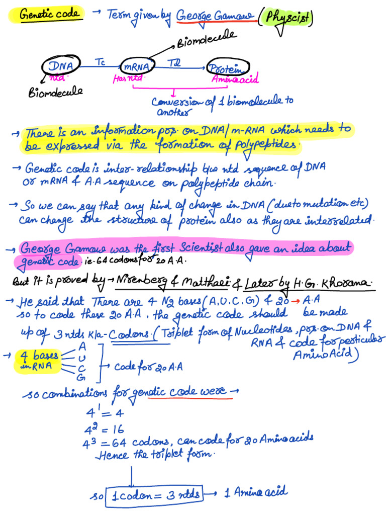 Genetic Code and Translation 2 | PDF | Ribosome | Translation (Biology)