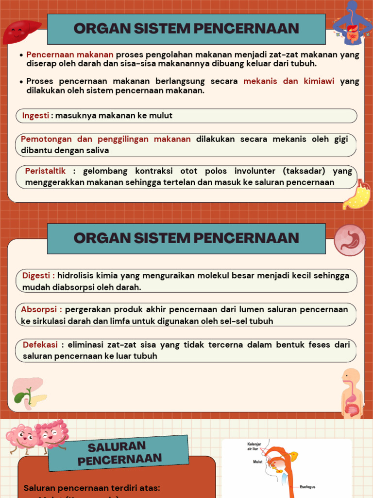 The Digestive System Science Educational Presentation in Dark Orange ...