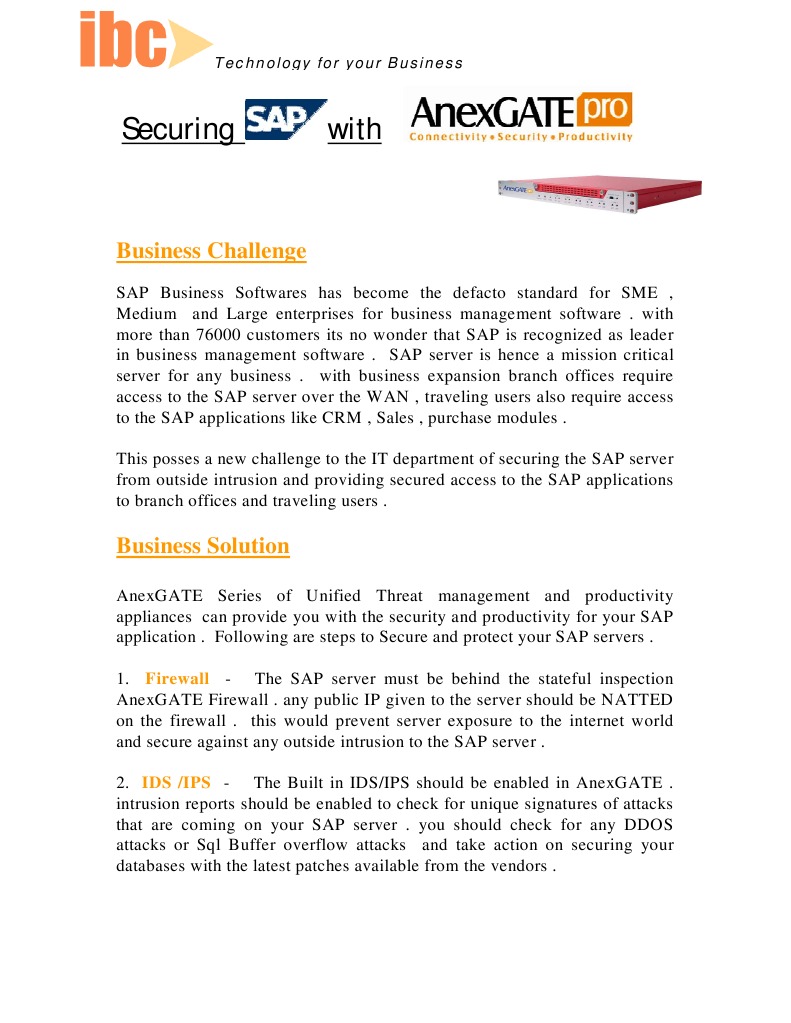 Securing Anexgate | PDF | Sap Se | Virtual Private Network