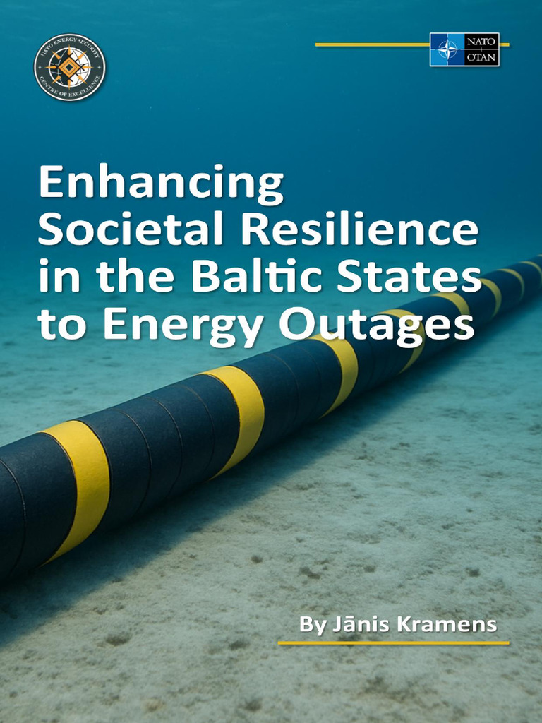 Societal Resilience in the Baltics 1751784392 | PDF | Computer Security ...