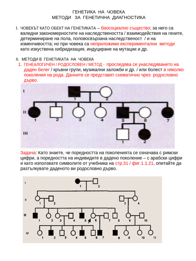 Genetika Na Coveka | PDF