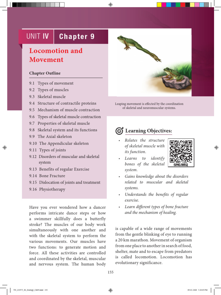 11th Zoology EM Book 2020-Pages-7 | PDF | Muscle Contraction | Skeletal ...