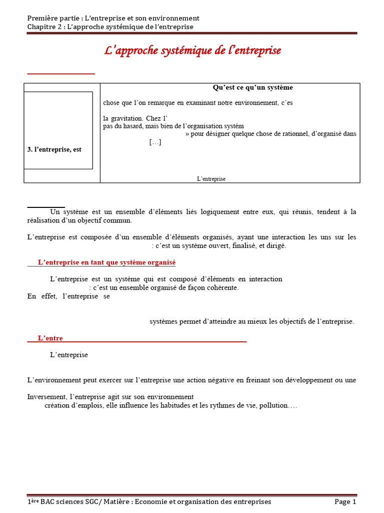 Approche systémique de l'entreprise | PDF | Environnement naturel ...