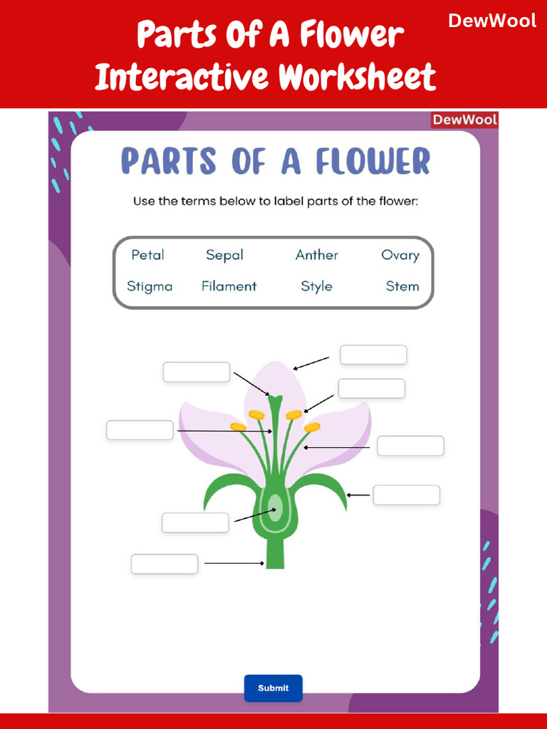 Interactive Parts of a Flower Worksheet | PDF