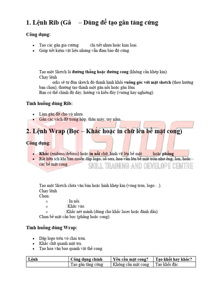 Rib Wrap | PDF
