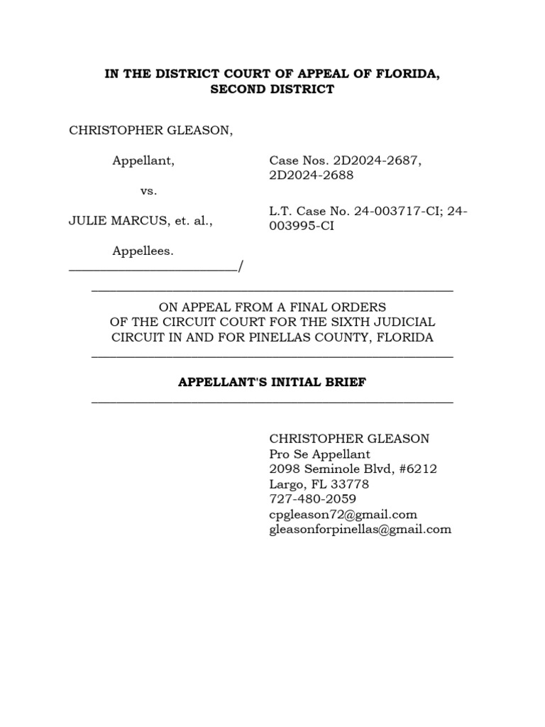 Florida Appeal Brief: Election Integrity Issues | PDF | Appeal ...