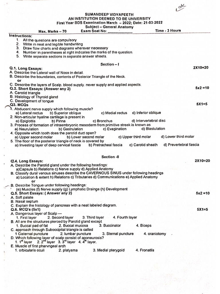 PYQ Papers All Subjects | PDF
