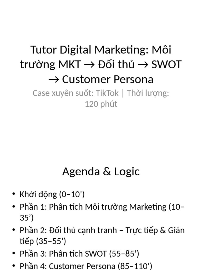 Tutor DigitalMarketing TikTok SWOT Persona | PDF