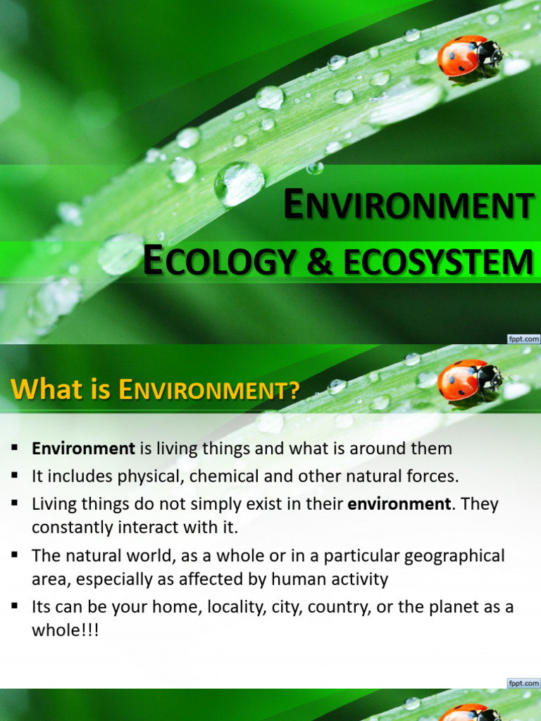 UNIT-1_Defination of Ecology | PDF | Ecosystem | Ecology