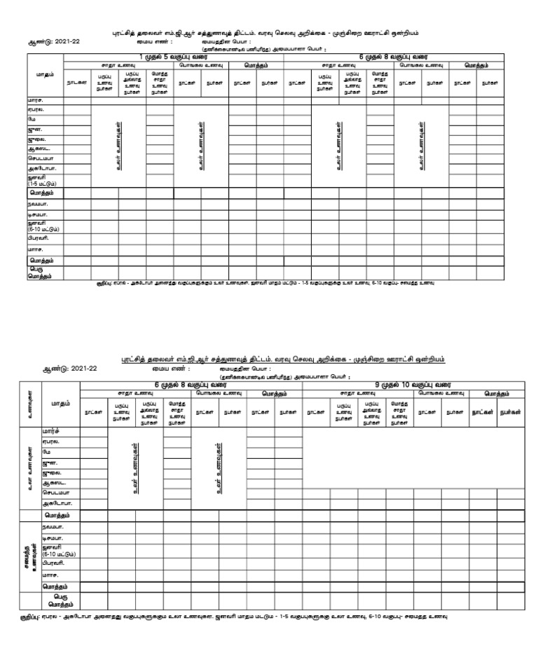 NMP Audit Format | PDF