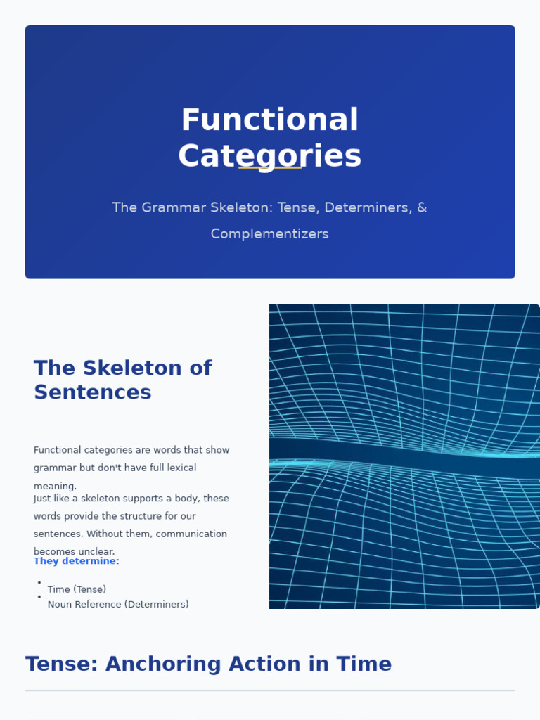 Functional Categories in Grammar | PDF | Clause | Grammatical Tense