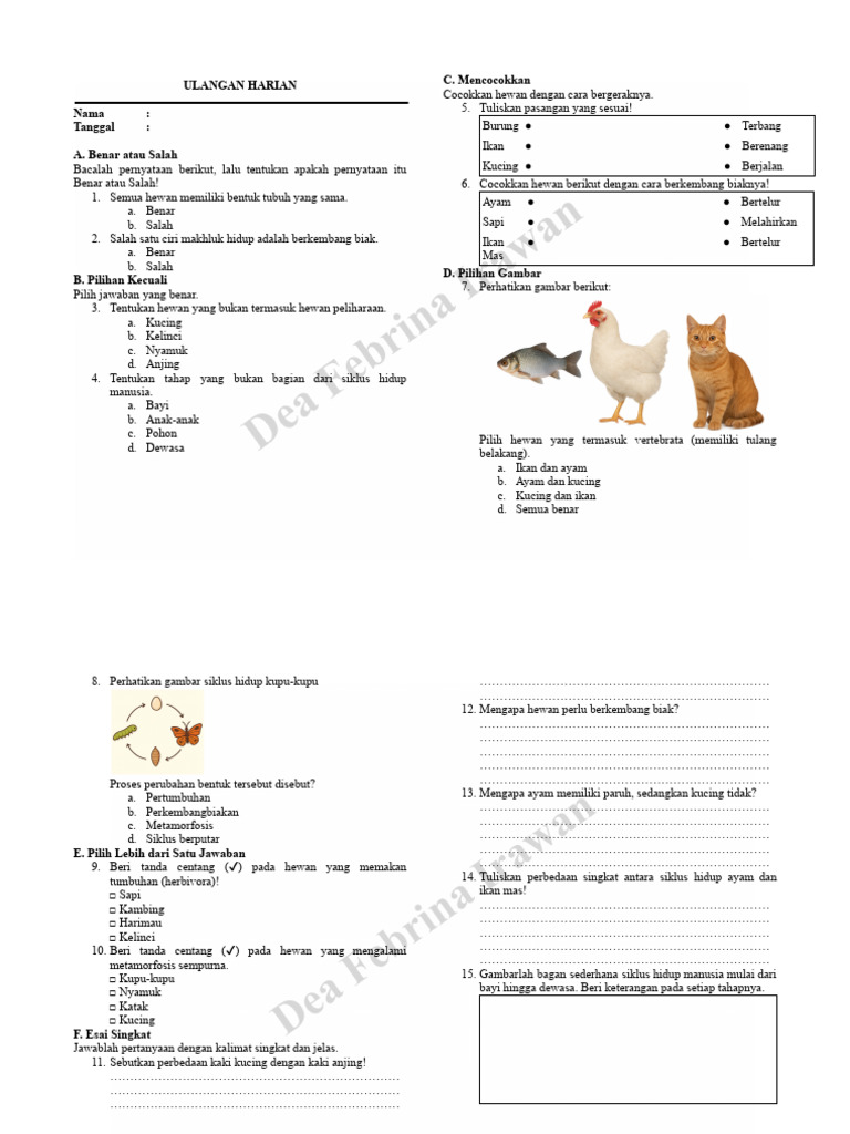 Ulangan Harian IPAS Kelas 3, Bab 1 Mari Kenali Hewan Di Sekitar Kita Dan Bab 2 Ayo, Mengenal ...