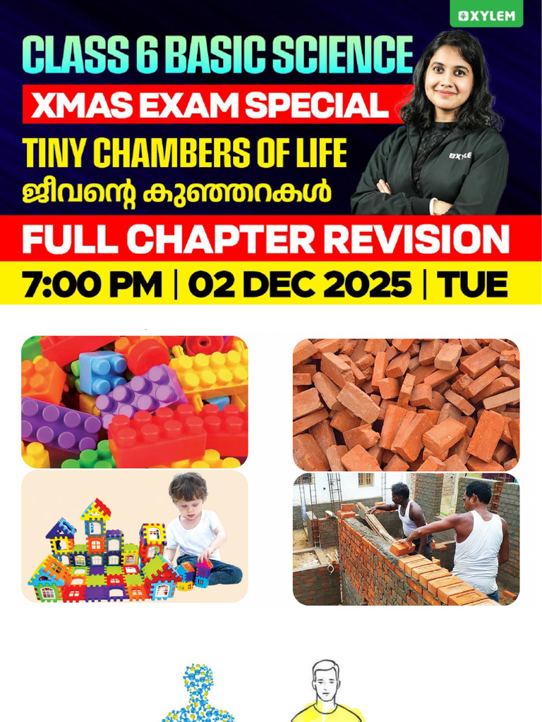Class 6 Basic Science Christmas Exam Special Tiny Chambers of Life ...