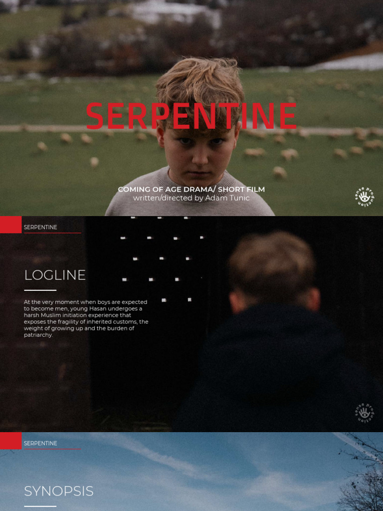Serpentine: A Muslim Boy's Initiation | PDF