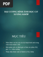 CHẨN ĐOÁN X QUANG TIM (3) | PDF