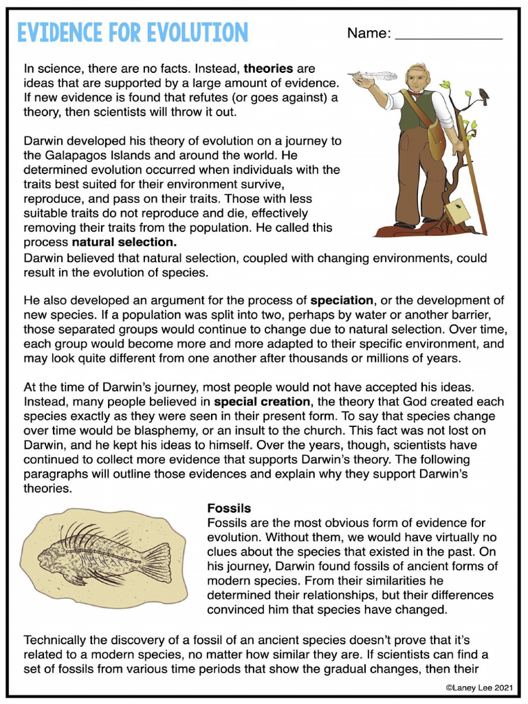 Evidence For Evolution Reading | PDF