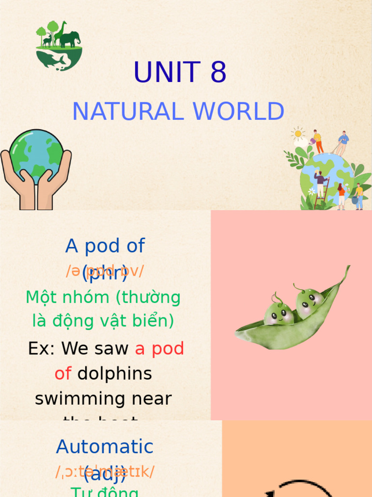 Vocabulary for Natural World Concepts | PDF