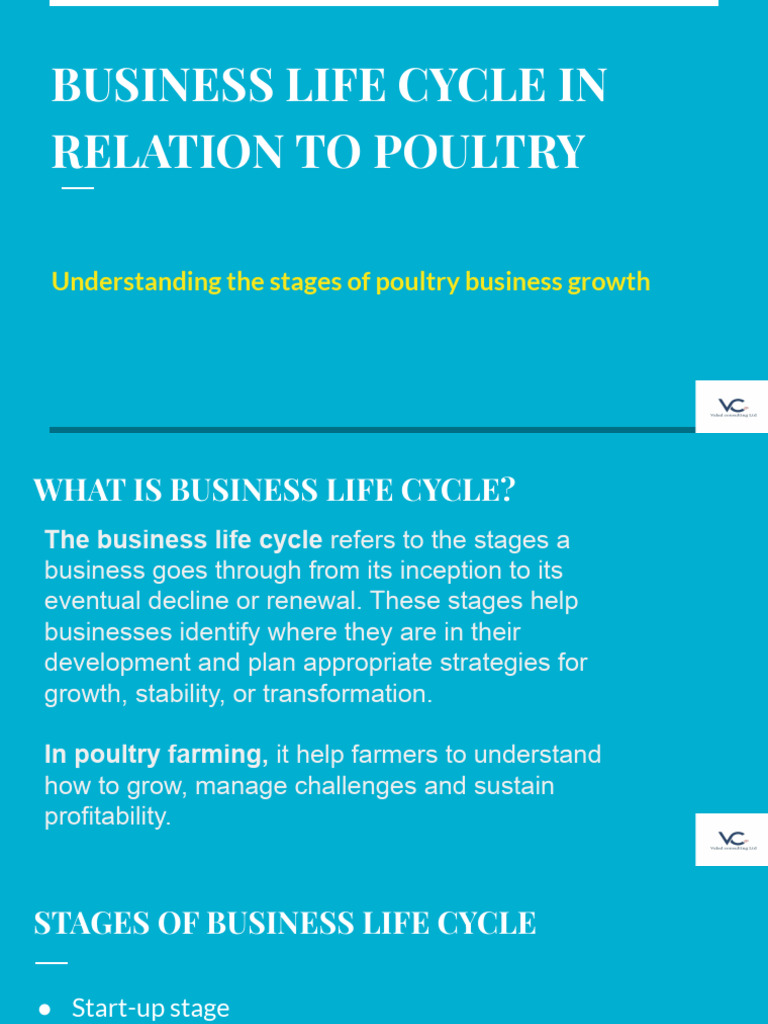 Business Life Cycle - 1 | PDF