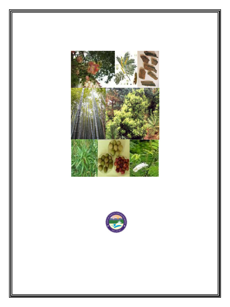 Non-Wood Forest Products Overview | PDF
