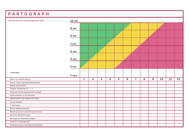 Active Labor Monitoring Form | PDF