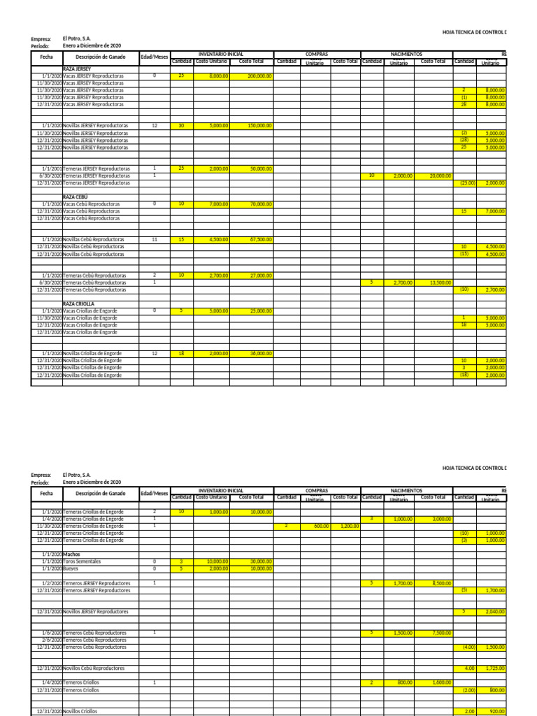 Ejercicio El Potro | PDF | normas internacionales de INFORMACION ...