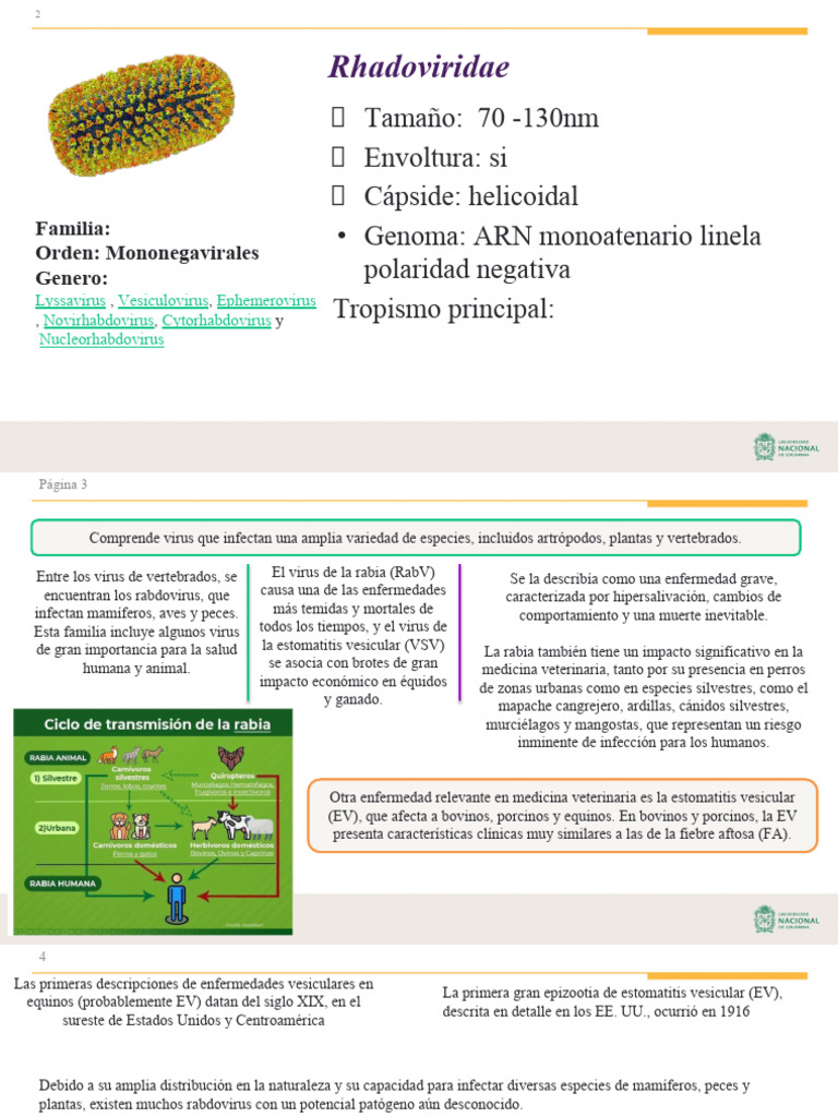 RABDO | PDF | Rabia | Virus